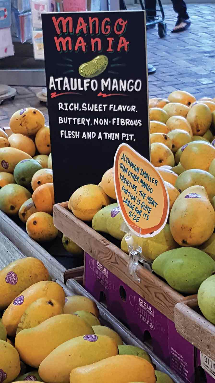 Tackling Mango Challenges And Mining The Opportunities - Produce Business