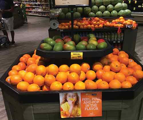 SUMMER CITRUS - Produce Business
