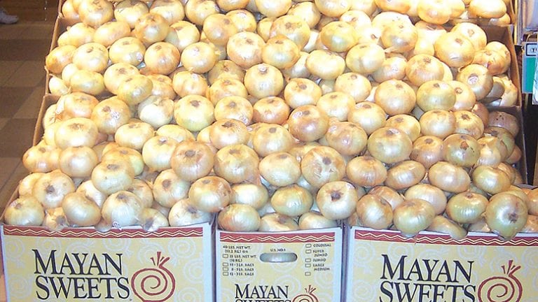 Peruvian Onions - Produce Business