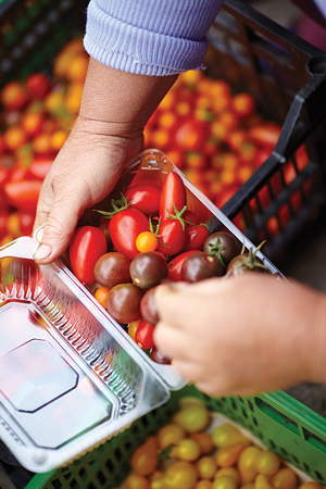 PRODUCE PACKAGING: A Window To The Product - Produce Business