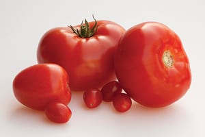 NOGALES: ONE COMMUNITY’S FRESH LEGACY - Produce Business