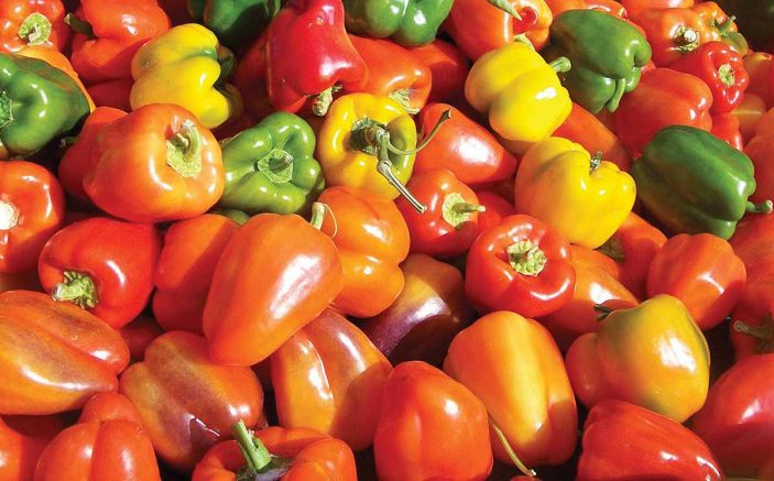 Share The Joys Of Michigan Produce - Produce Business