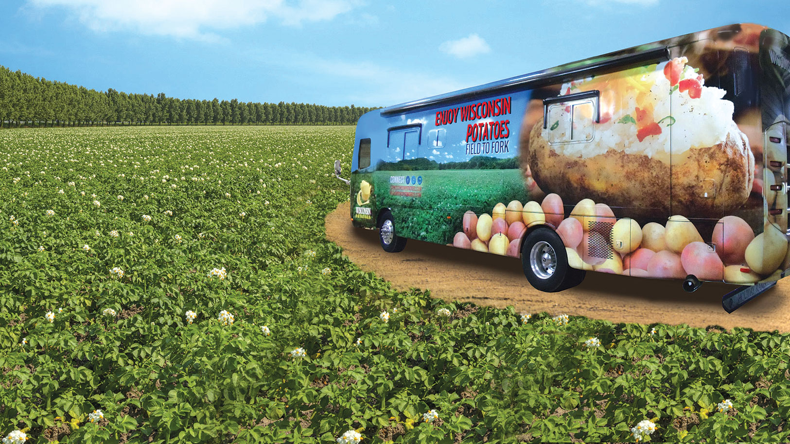 Wisconsin Potatoes Help Satisfy Eastern Supermarket Demand - Produce ...