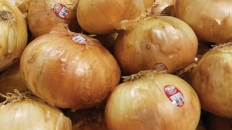 Peruvian Onions — Maintaining The “Sweet” Year Round - Produce Business