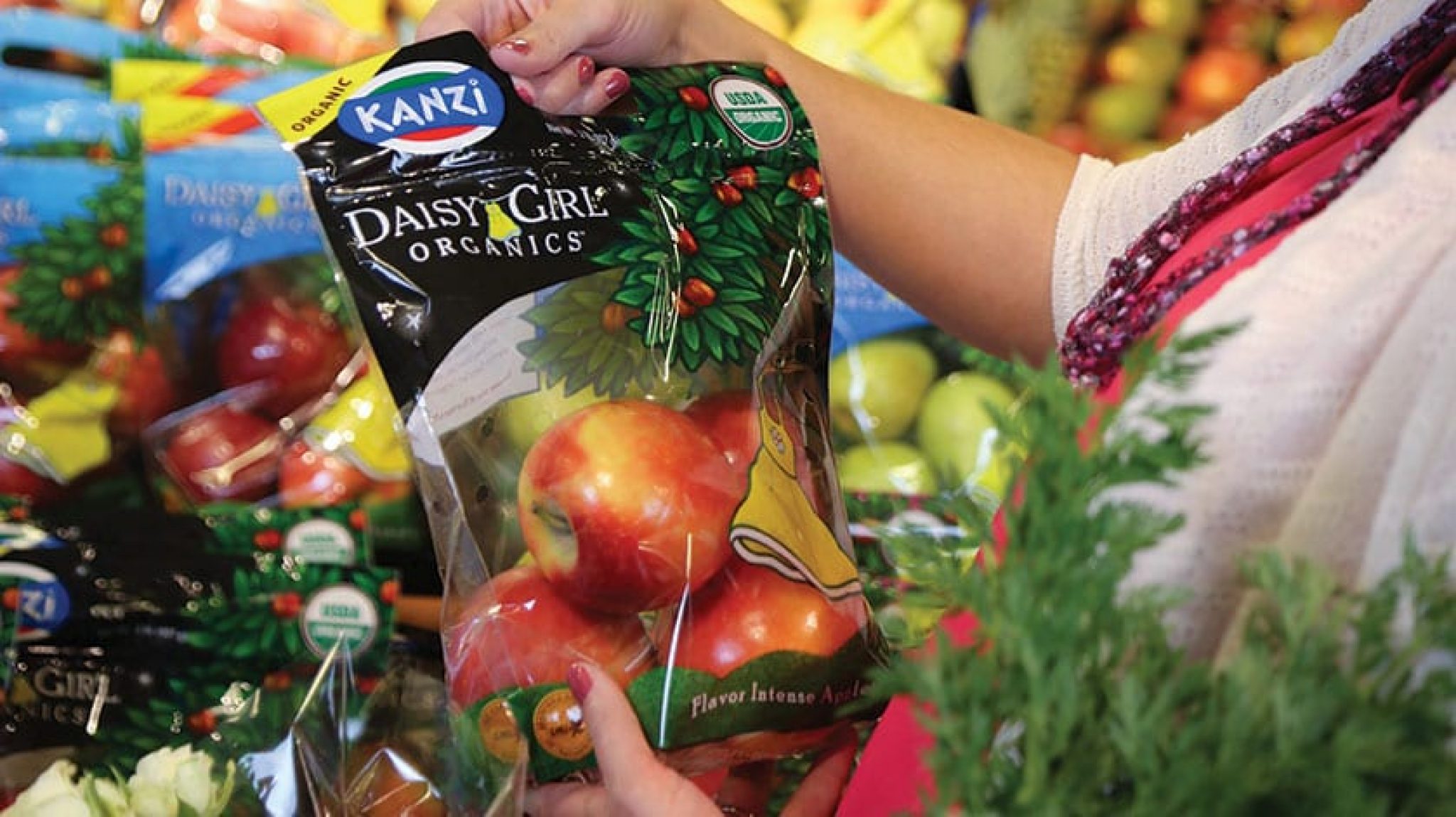 HOW NEWER GLOBAL FRUIT BRANDS PENETRATE NORTH AMERICAN MARKETS ...