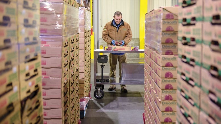 Getting The Most Benefits From Your Wholesaler Partner - Produce Business