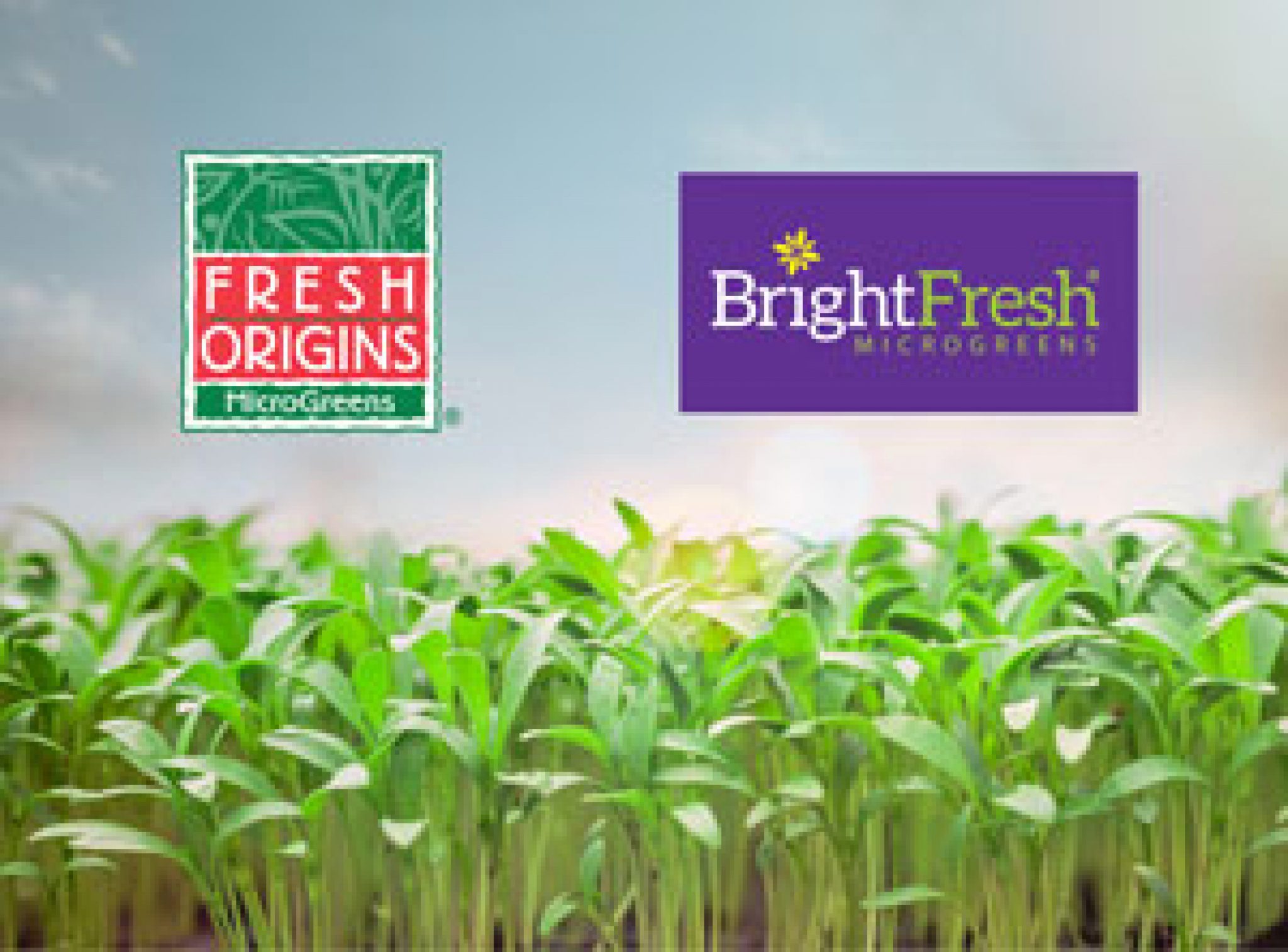 ‘Virtual’ Booth Review - Produce Business