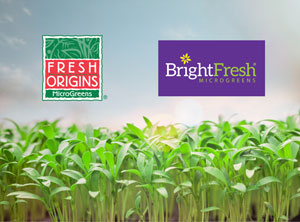 ‘Virtual’ Booth Review - Produce Business