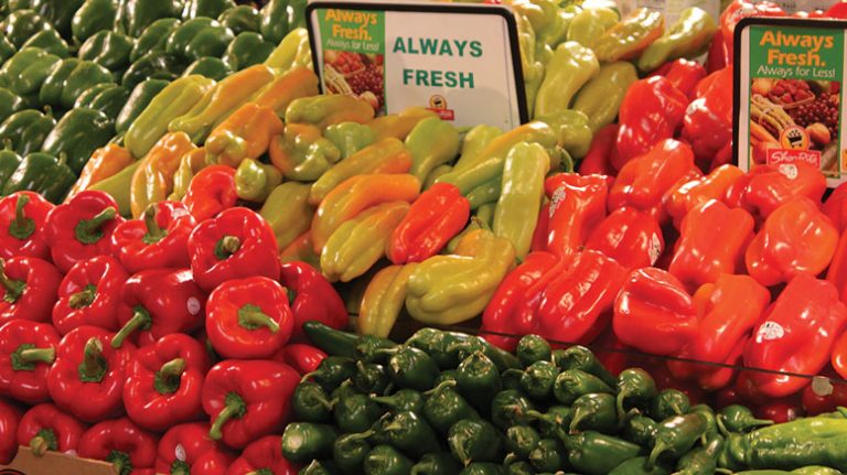 WAKEFERN/SHOPRITE Supermarkets: Co-opting GREEN the RITE Way - Produce ...
