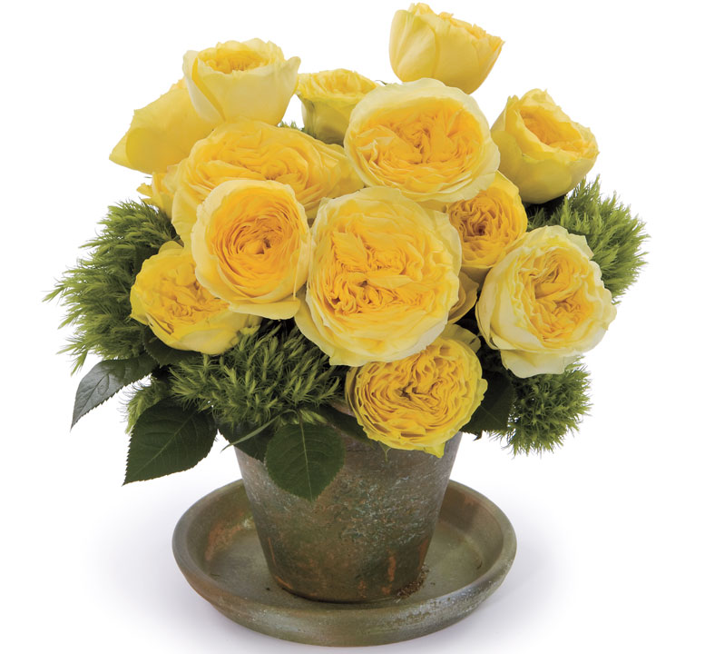 Prepping For A Much-Needed New Year - Produce Business