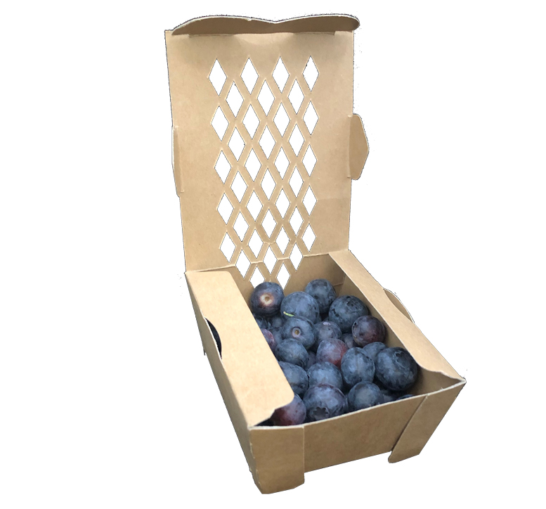 THE GREY FOXES OF CIRCULAR PACKAGING - Produce Business