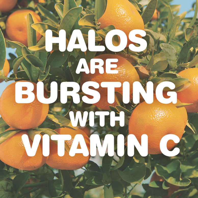 Rally Around Immunity: The Produce Powerhouse - Produce Business