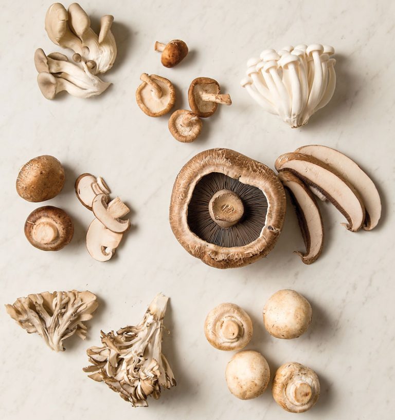From Versatility To Immunity, Mushrooms Meet The Moment - Produce Business