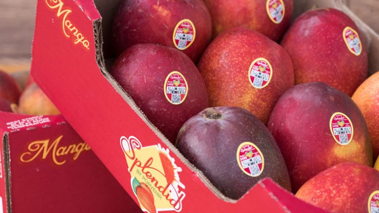 Make the Most of This Year’s Mexican Mangos - Produce Business