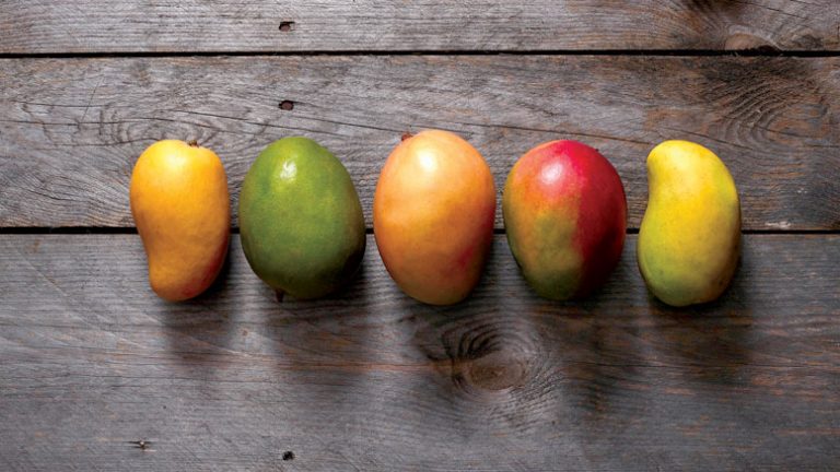 Make the Most of This Year’s Mexican Mangos - Produce Business
