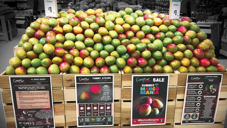 Mangos Continue Retail Winning Streak - Produce Business