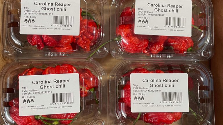 Chicago: America’s Produce Market Hub - Produce Business