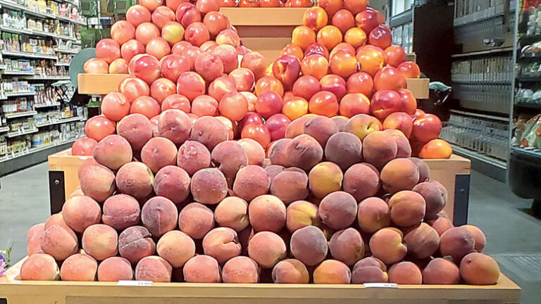 Home - Produce Business