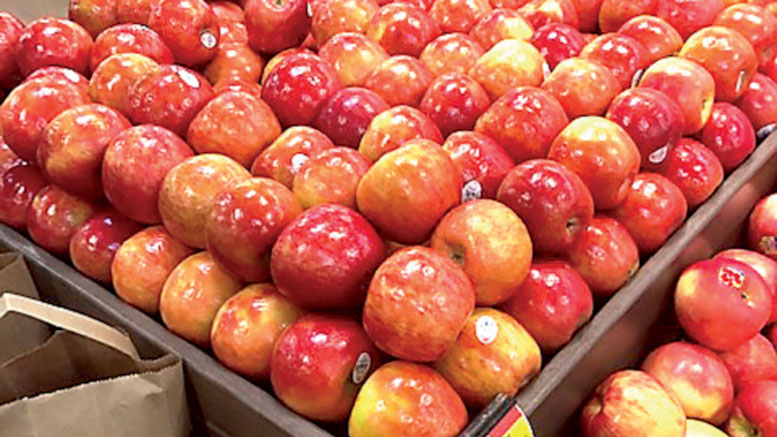 Great Lakes Make for Great Michigan Apples - Produce Business