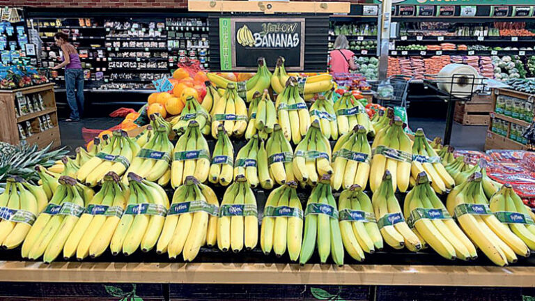 A Bunch Of Ways To Sell More Organic Bananas - Produce Business
