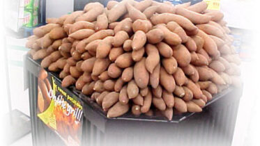 Sweet Potatoes No Longer Just For Winter Holidays - Produce Business