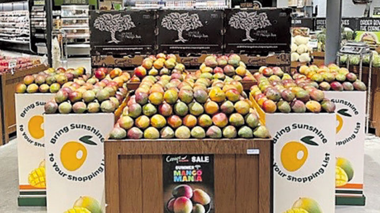 The Goodness of Mexican Mangos - Produce Business