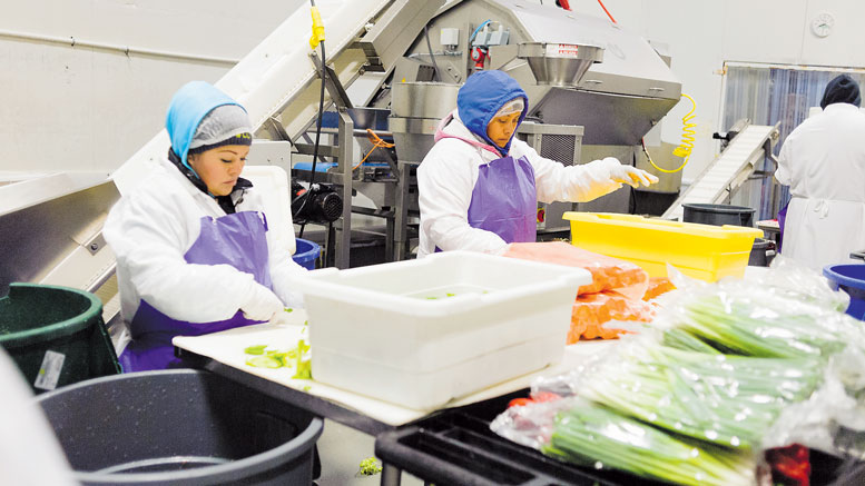 Wholesale Moves To A Fuller Line Of Services - Produce Business