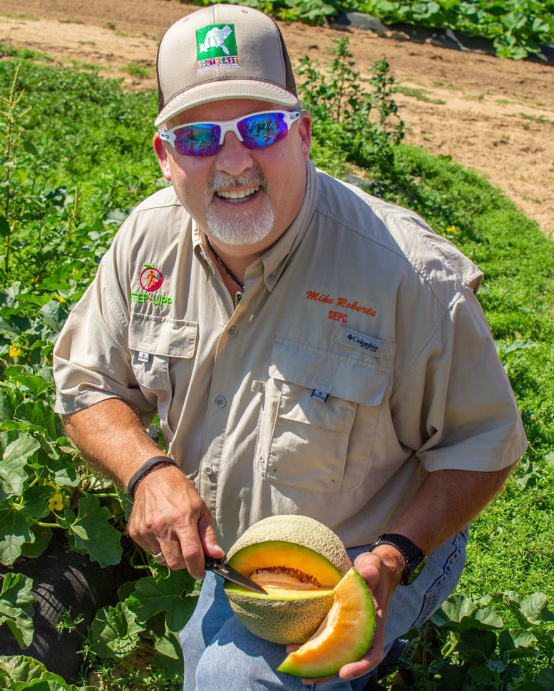 Produce Maestro: Harps Food Stores' Mike Roberts Named Merchandiser of ...