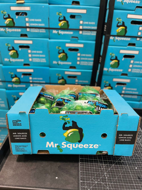 2023 Masters of Merchandising: VISION GLOBAL GROUP LLC - Produce Business