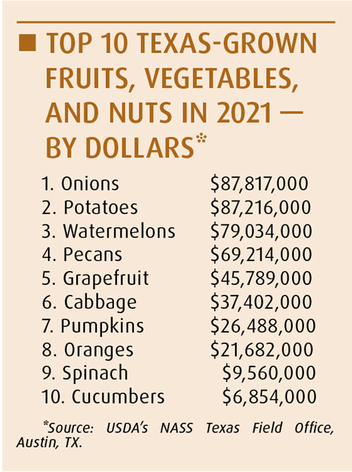 TEXAS KEEPS FRESH PRODUCE FLOWING - Produce Business