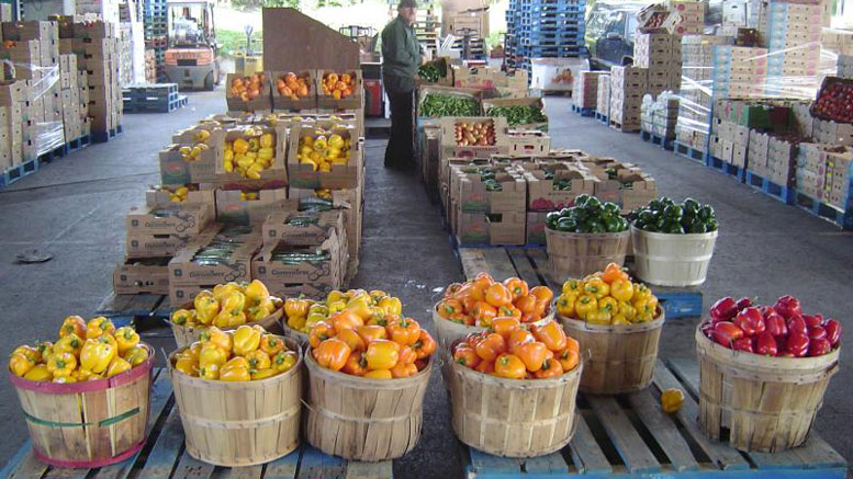 Toronto is Dynamic Fresh Produce Market - Produce Business