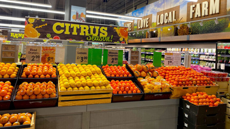 Toronto is Dynamic Fresh Produce Market - Produce Business