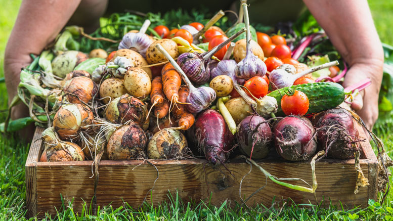 Produce Innovation Is Key to Category Growth and Consumer Engagement ...