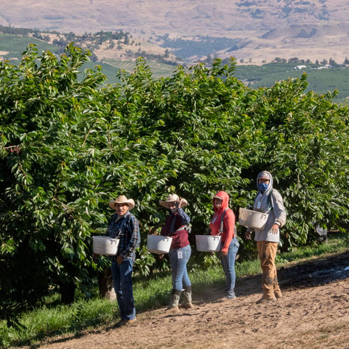 May 2023 Produce Watch - Produce Business