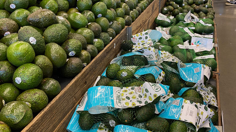Shoppers Want Avocados Year-Round - Produce Business