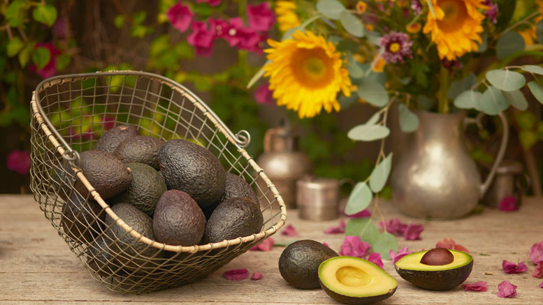Shoppers Want Avocados Year-Round - Produce Business