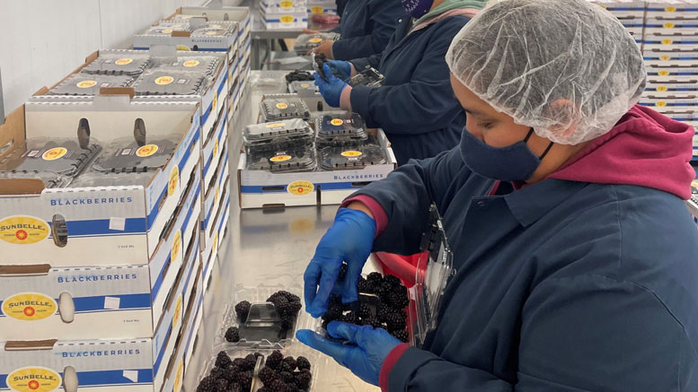 For Produce, the Nation’s Capital Is a Study in Contrasts - Produce ...