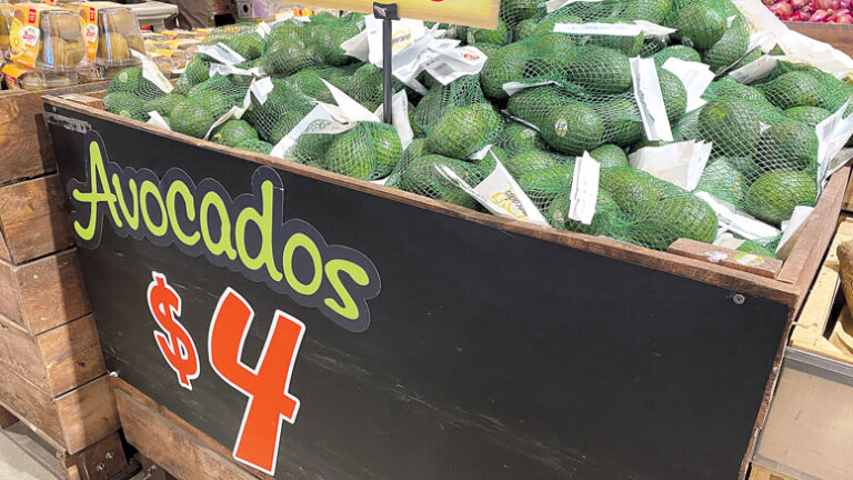 The Rise and Rise of the Avocado - Produce Business