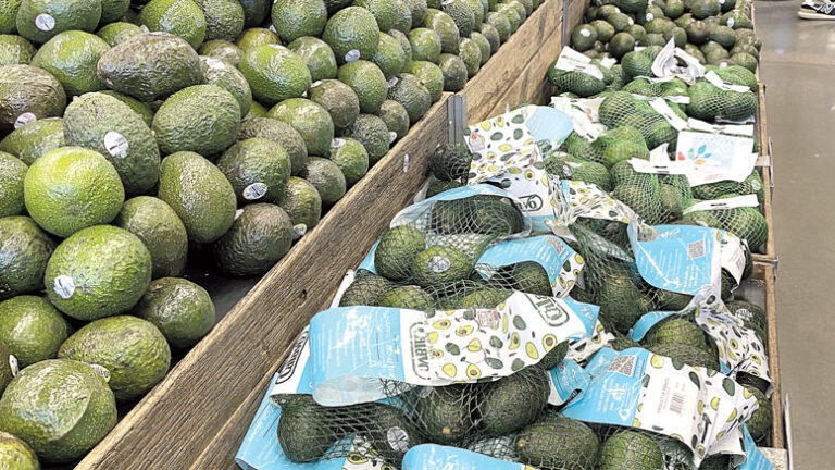 The Rise and Rise of the Avocado - Produce Business