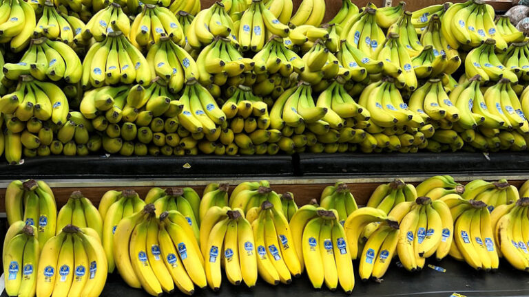 Keeping the Throne: Bananas Still the Produce King - Produce Business
