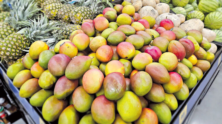 Cross-Border Appeal: Why Mexico Will Retain its Importance to the US ...