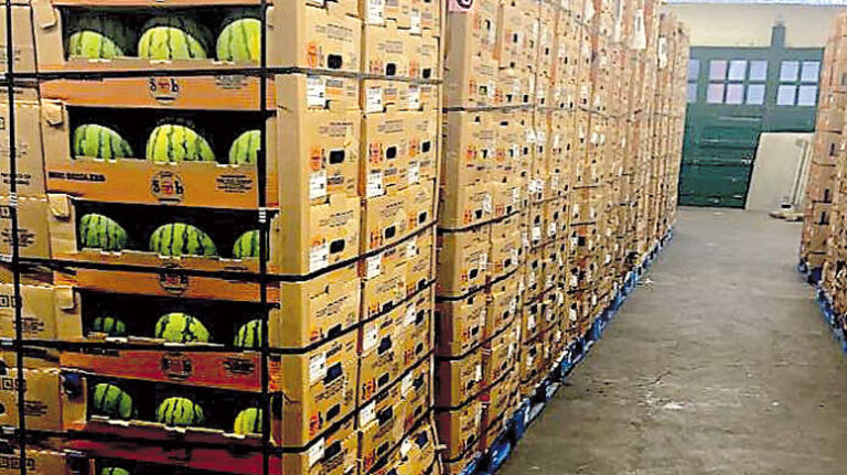 Detroit Looks At Challenges As Opportunities - Produce Business