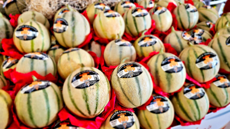 Winter Melon Buying Guide - Produce Business