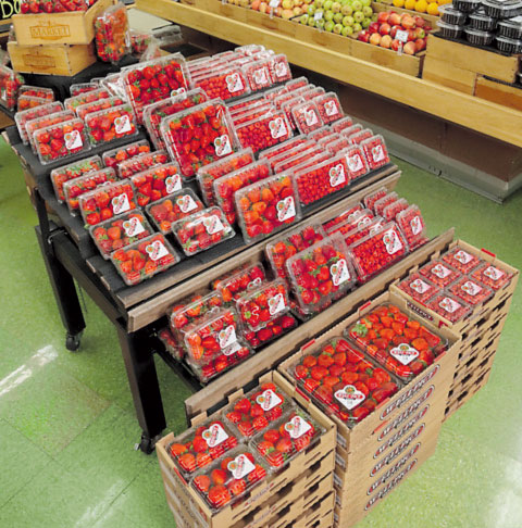 Sweet Success: Why Florida’s Strawberry Growers Have an Eye on ...