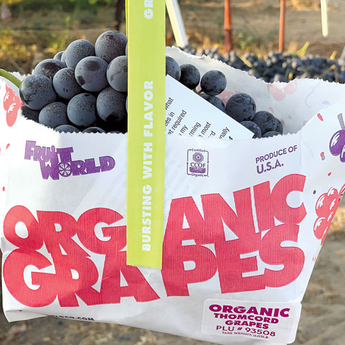 JUNE 2024 Produce Watch - Produce Business